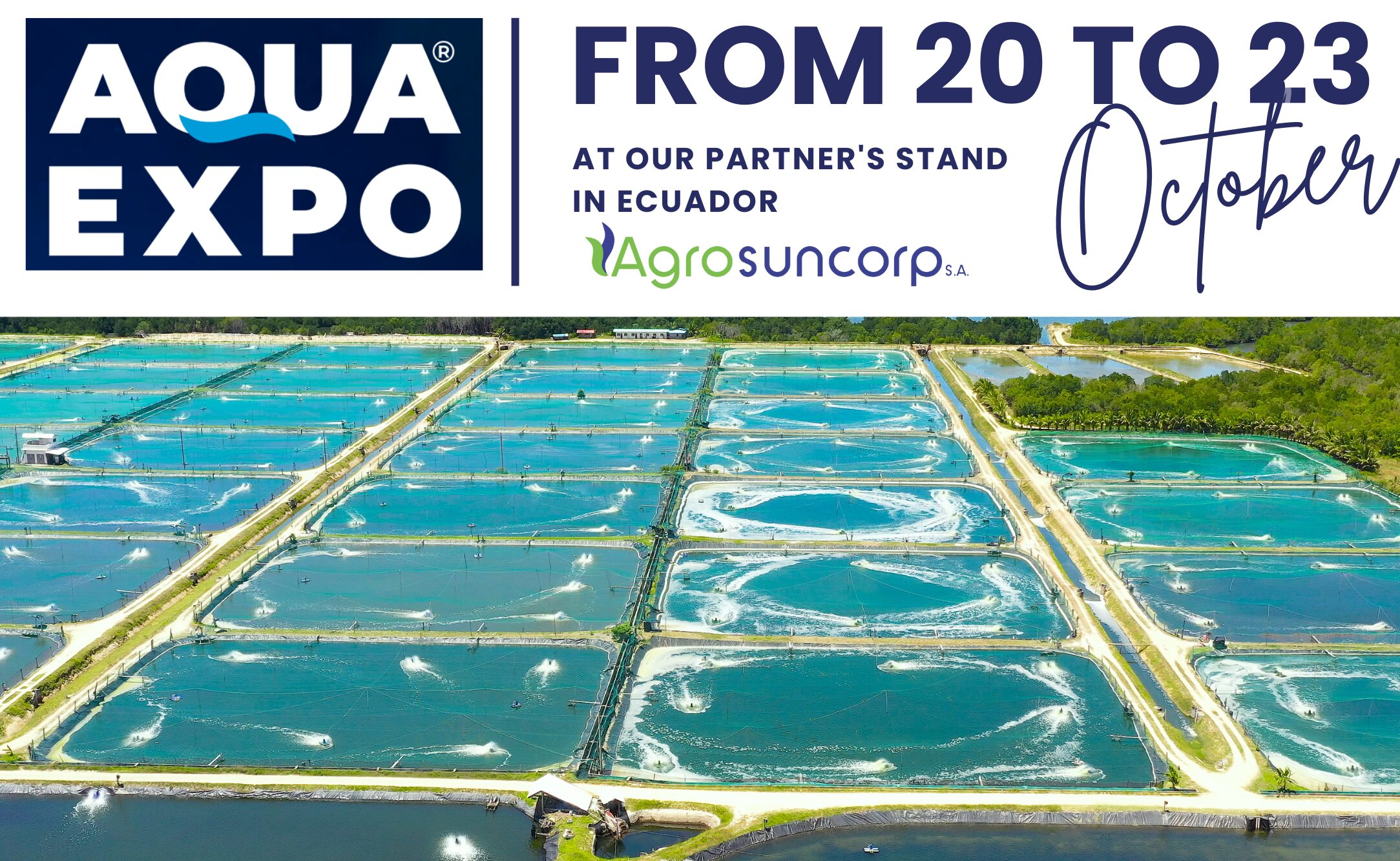 Phodé to attend Aqua Expo 2025: at the heart of innovation for shrimp ...
